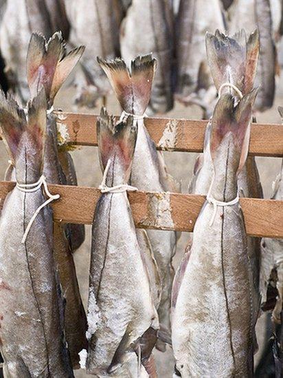 Your pictures of Scotland: 21 - 28 June - BBC News