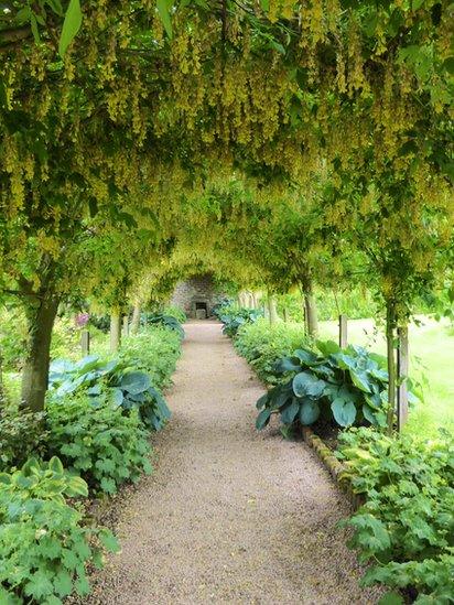 Your pictures of Scotland: 13 - 20 June - BBC News
