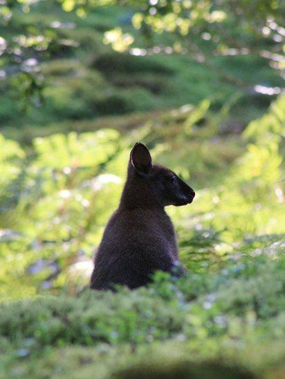 Your pictures of Scotland: 25 July - 1 August - BBC News