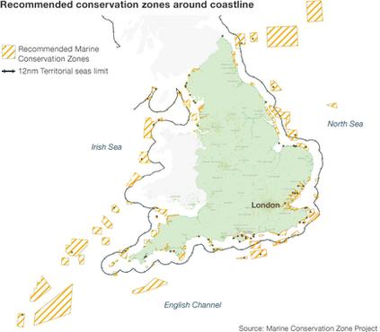 Plans to protect marine life in British waters - BBC Newsround