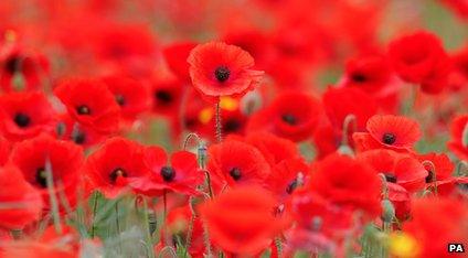 World War One 110 year anniversary: What happened during WW1? - BBC ...