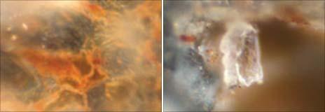 Oldest evidence of arrows found - BBC News