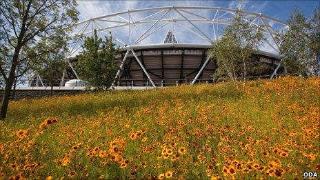 Wild flowers add golden hue to London Olympics meadow - BBC News
