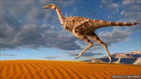 Two-clawed and parrot-sized: new T.rex cousin unveiled - BBC News