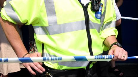 Staffordshire Bull Terriers attack man and woman in Thatcham - BBC News