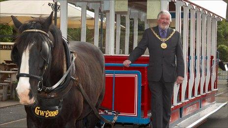 Isle of Man tram horse dies after stroke - BBC News