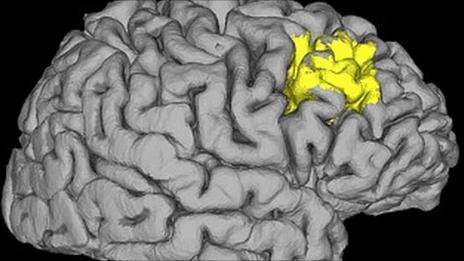 Cardiff University's Cubric brain image centre milestone - BBC News