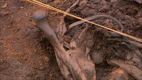 Unravelling mystery of County Meath bog body - BBC News