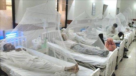 Pakistan dengue outbreak strains Lahore hospitals - BBC News