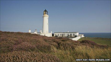 Mull of Galloway nature reserve's tourist value studied - BBC News