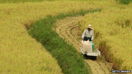 Japan's youth turn to rural areas seeking a slower life - BBC News