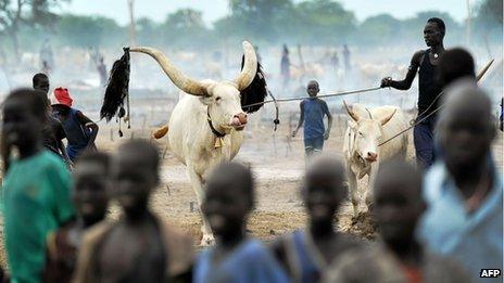 South Sudan cattle clashes: UN moves troops to Pibor - BBC News