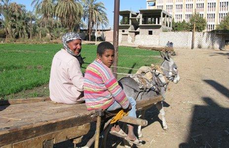 Rural Egypt holds key to political future - BBC News