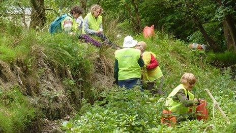 Himalayan balsam fight in Pembrokeshire Coast National Park - BBC News