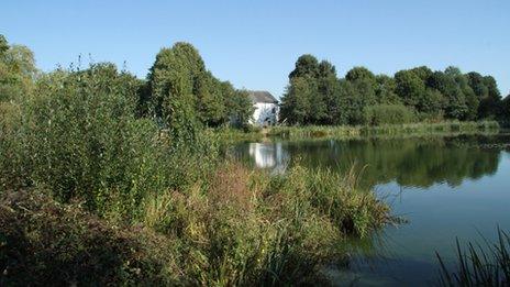 Ifield Mill Pond dam upgrade work begins - BBC News