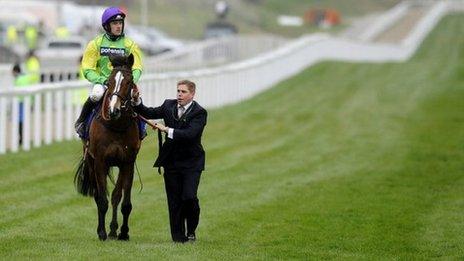 Kauto Star: Record-breaking racehorse is retired - BBC Sport