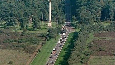 Bats reject 'safe way' bridges over Norfolk - Suffolk dual carriageway ...