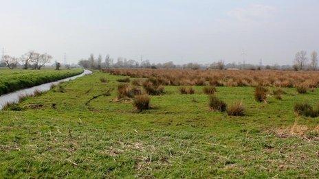 Gwent Wildlife Trust bid to extend Magor Marsh nature reserve - BBC News
