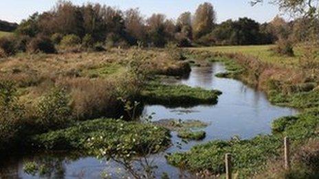 River Kennet pumping reduction 'a major milestone' - BBC News