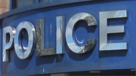 Goldfish Neknomination man fined over stunt - BBC News