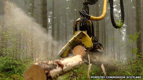Scottish timber harvesting at record high - BBC News