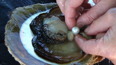 Pearlers past and present in Australian town - BBC News