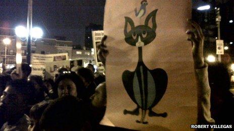 Peru: Campaigning for the rights of cats - BBC News