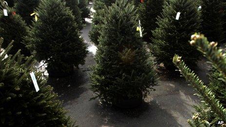 Inverness Christmas tree farm revealed as website 'scam' - BBC News