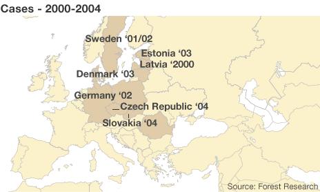 Chalara ash dieback outbreak: Q&A - BBC News