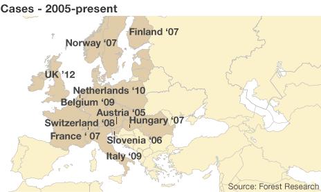 Chalara ash dieback outbreak: Q&A - BBC News