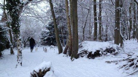 Norfolk snow: Alert over difficult driving conditions - BBC News