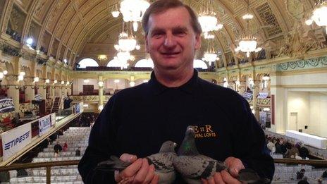 Pigeon fanciers flock to Europe's largest fair in Blackpool - BBC News