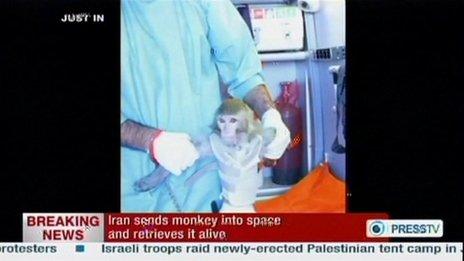 Iran 'successfully sends monkey into space' - BBC News