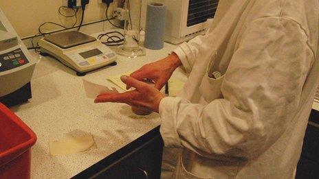 Test finds any horse DNA without doubt, says lab - BBC News