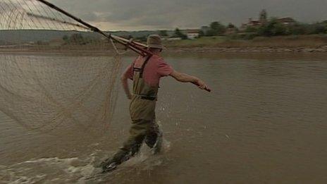 One-fish rule 'threatens' River Severn tradition - BBC News