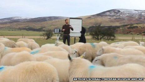 Artist 'lectured' sheep on Highland Clearances - BBC News