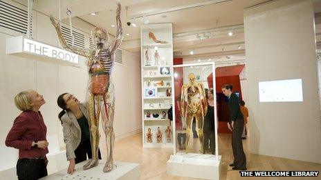 Unusual museums to entertain the inquiring mind - BBC News