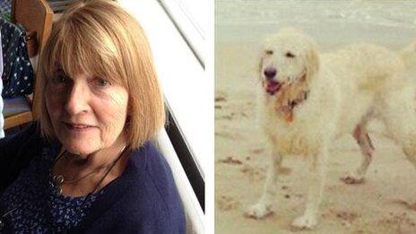 Twitter helped Belfast woman 'find missing mum' - BBC News