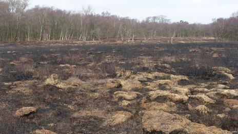 Heysham Moss bog fire is 'blow to conservation' - BBC News
