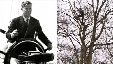 'Hitler's oak' at How Hill in Ludham cut back - BBC News