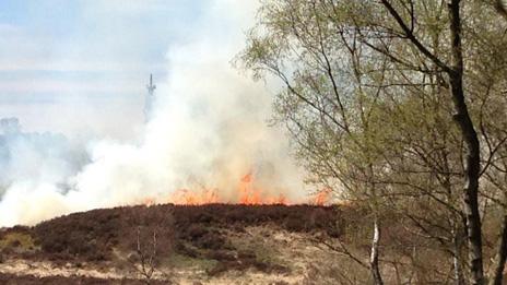 Firefighters battle Alton grassland fires - BBC News