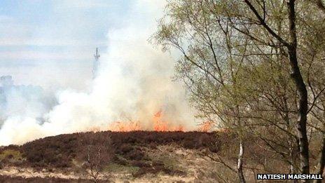 Cannock Chase grassland blazes tackled by firefighters - BBC News