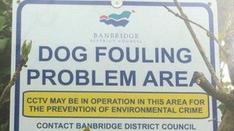 'Dog mess' report cards launched in Essex - BBC News