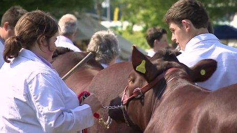 Ardingly show farmers say crop yields down after 'awful' weather - BBC News