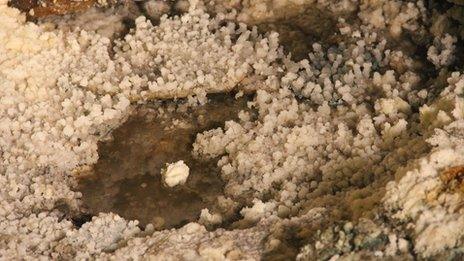 Boulby mine: Underground life gives alien clues - BBC News