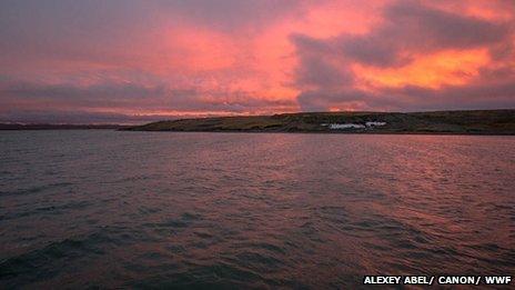 Russia's Arctic: Taimyr Peninsula - BBC News