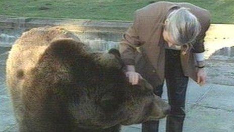 Hercules: An A to Z of Scotland's famous grizzly bear - BBC News