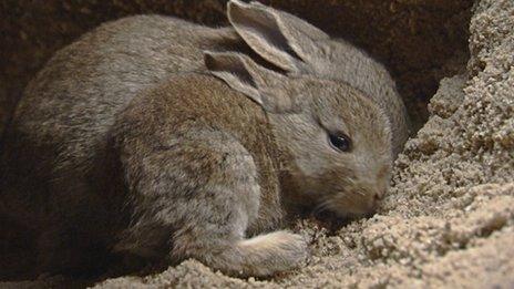 10 things we didn't know last week - BBC News