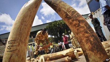 Kenya seizes ivory bound for Turkey in seed shipment - BBC News