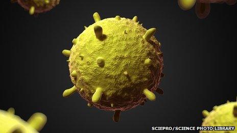 Flu data to be collected from UK schools - BBC News